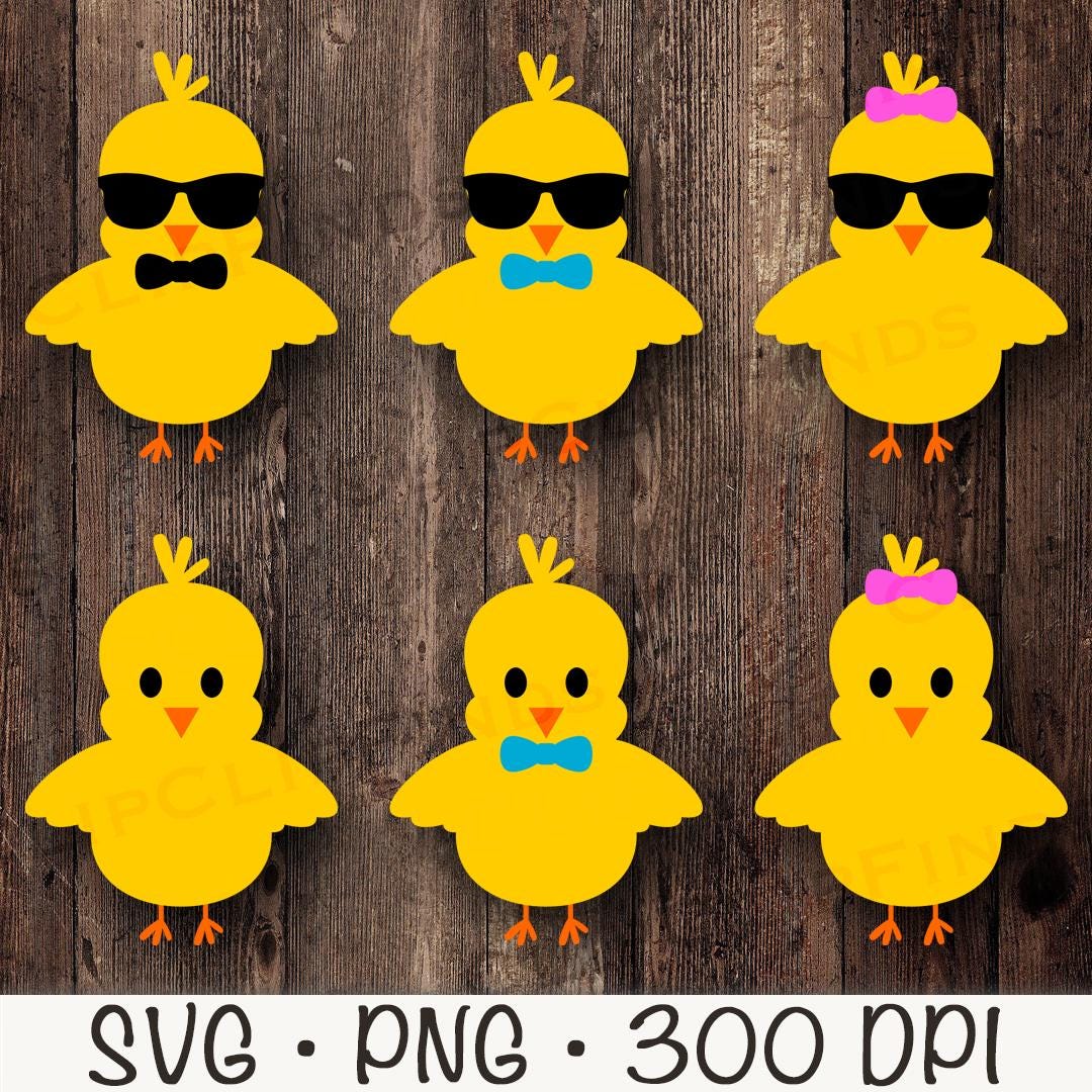 Cool Baby Chicks, Chicks With Sunglasses, Boy Chick, Girl Chick, SVG ...