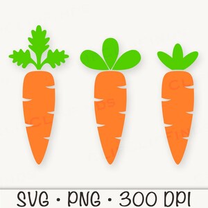 Carrot SVG, Carrot PNG, Easter Carrot PNG, Carrot Clipart, Instant ...
