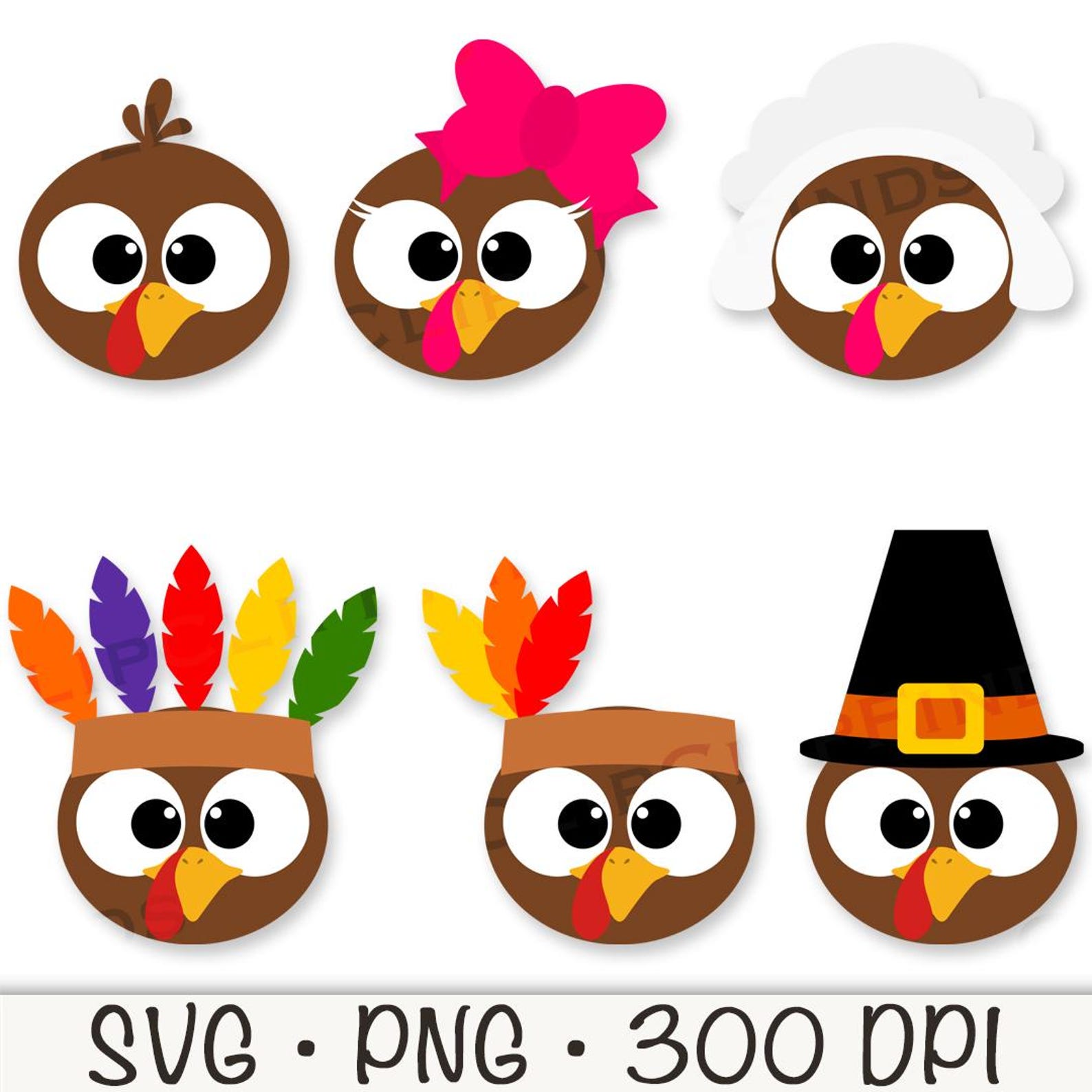 Turkey Faces, Cute Turkey Faces, Girl Turkey, Boy Turkey, Baby Turkey ...
