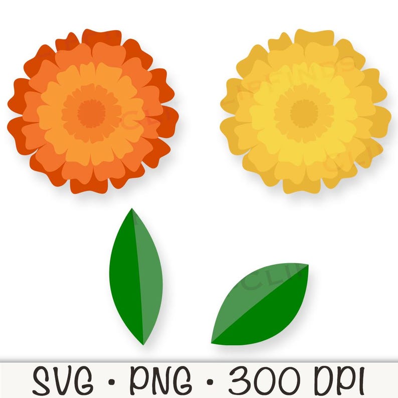 Marigold SVG, Marigold Flower Clipart, Simple Marigold Flowers ...