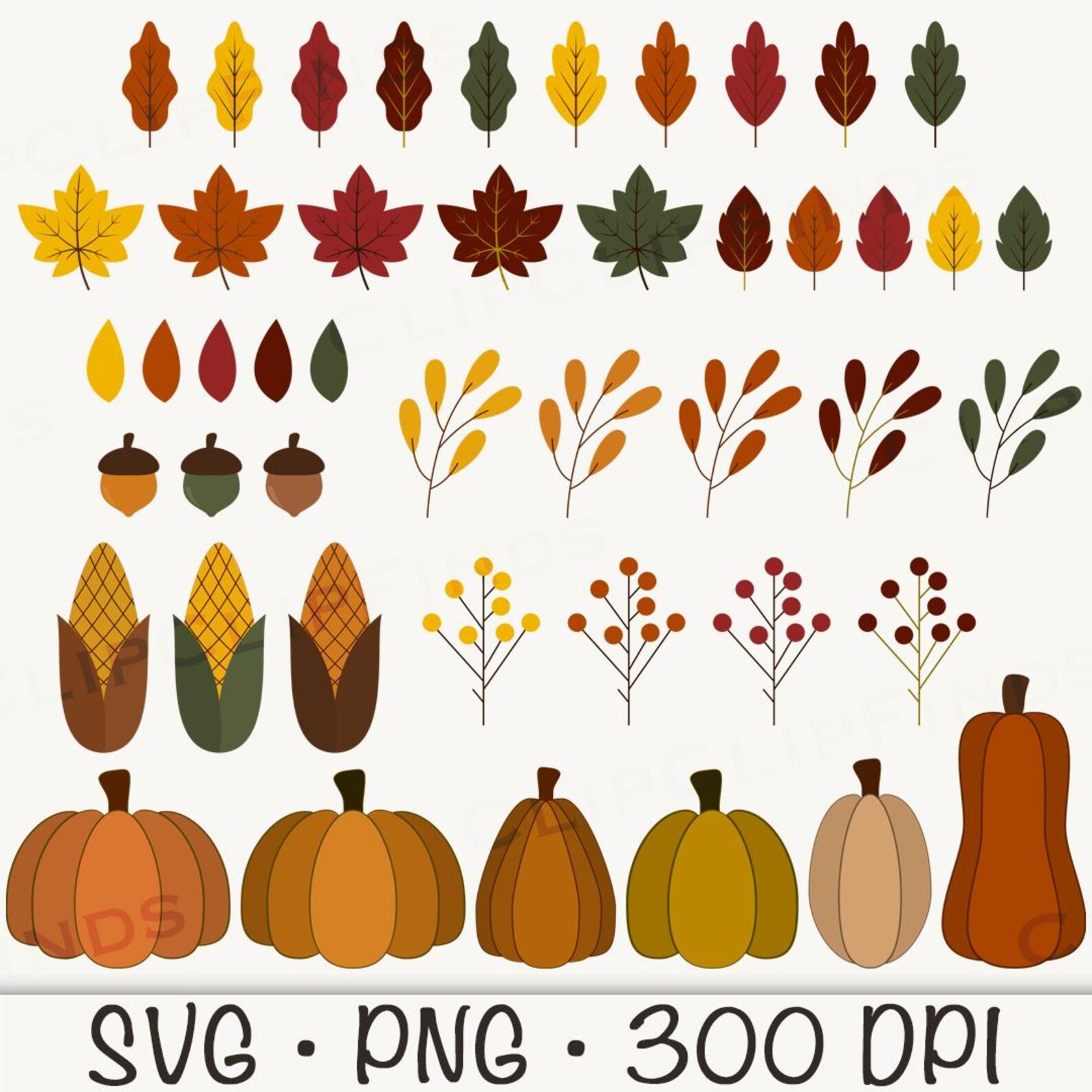 Fall Clip Art Bundle Pack PNG, Foliage SVG, Pumpkin, Corn, Thanksgiving ...