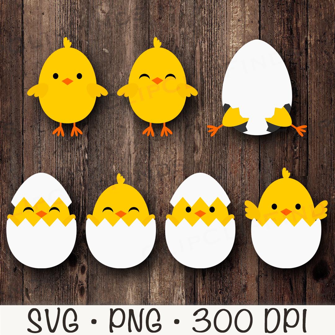 Baby Easter Chicks SVG, Chicks in Cracked Egg PNG, Hatched Easter Eggs ...