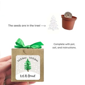 LET IT GROW! Christmas Tree Grow Kit Gift Set Sent to Friends & Family ...