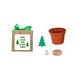 Mini Tree Grow Kit, Fun Earth Day Activity, Hands-on Learning for ...