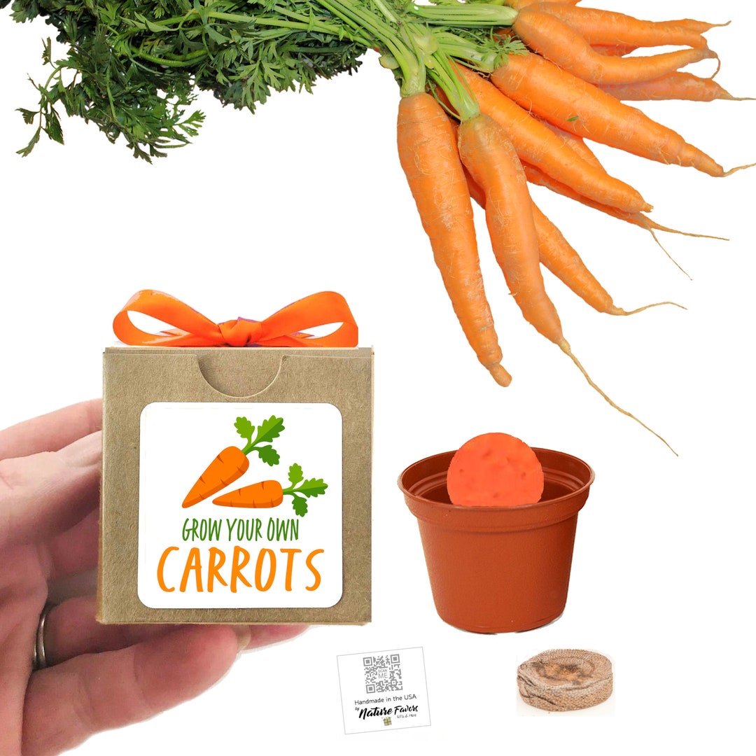 Carrot Garden Seed Starter Gift, Small Sustainable Gift Idea for Kids ...