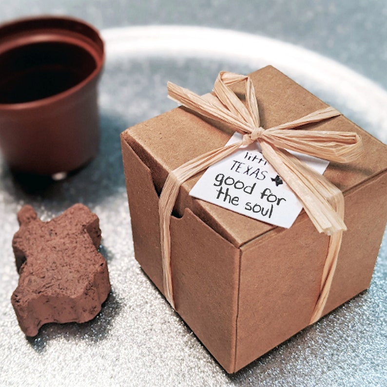 Small Texas Themed Gifts to Grow for Men, Women, & Kids, Friends or ...