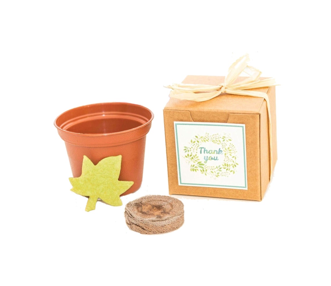Fall Theme Garden Kit Thank You Gift Welcome Fall Happy Fall | Etsy