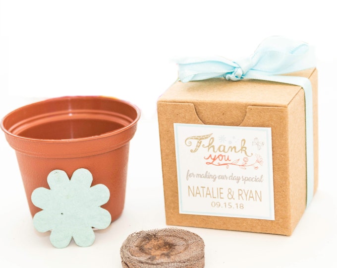 Texas Bluebonnet Seed Gifts Personalized Texas Bluebonnet - Etsy