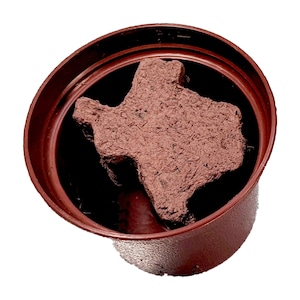 Small Texas Themed Gifts to Grow for Men, Women, & Kids, Friends or ...
