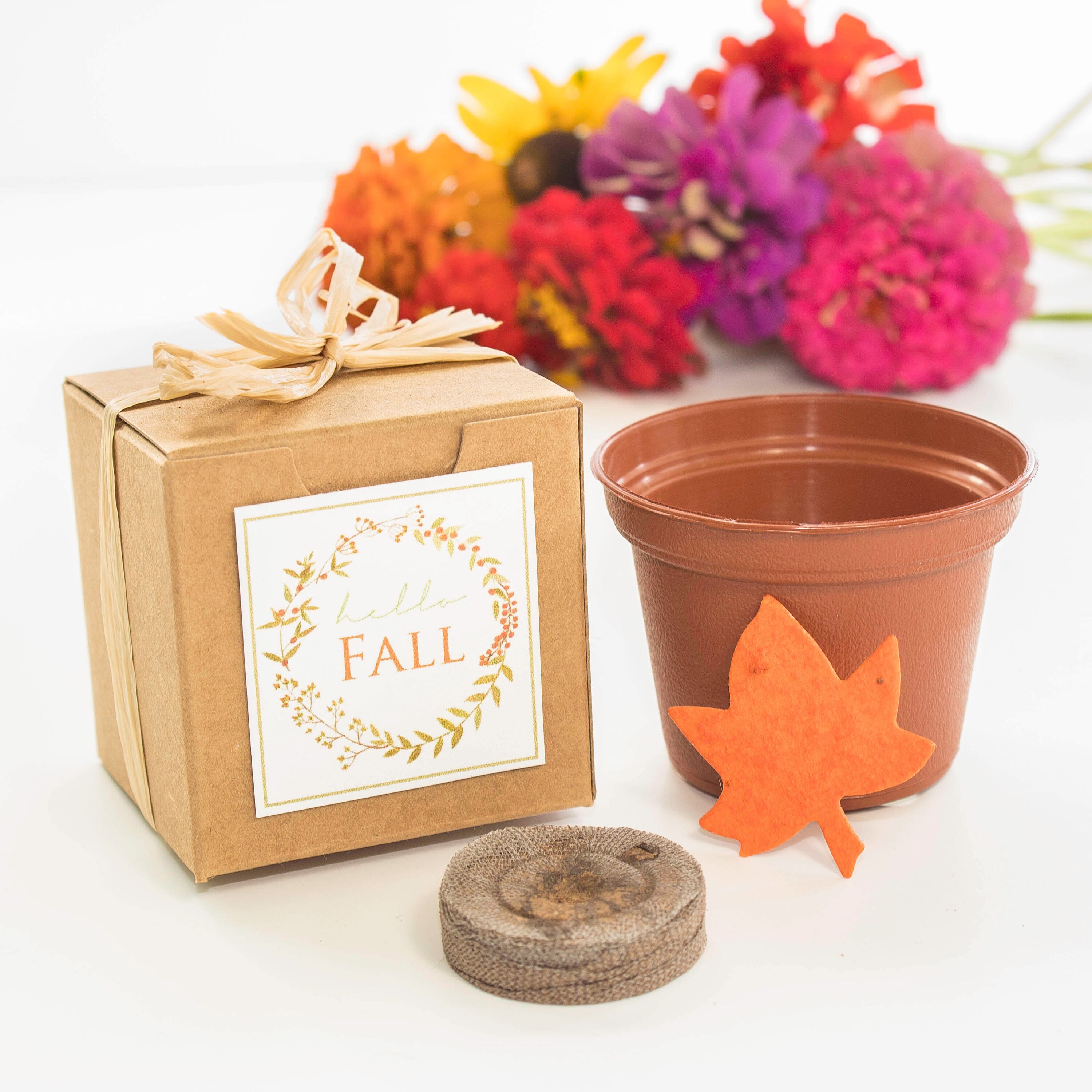 Fall Theme Garden Kit Thank You Gift Welcome Fall Happy Fall | Etsy