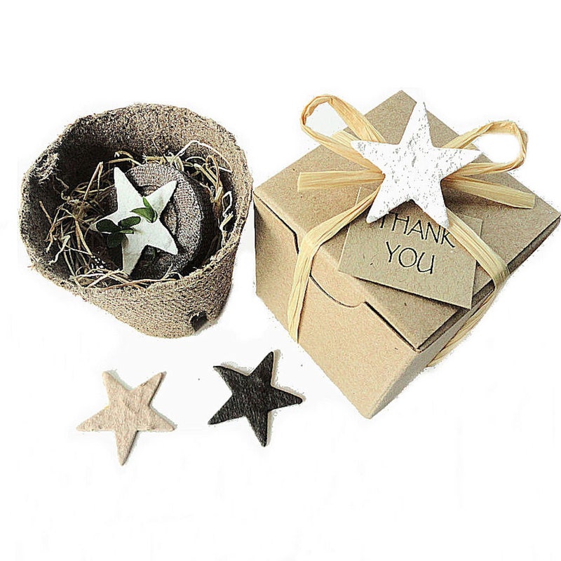 Star Theme - Etsy