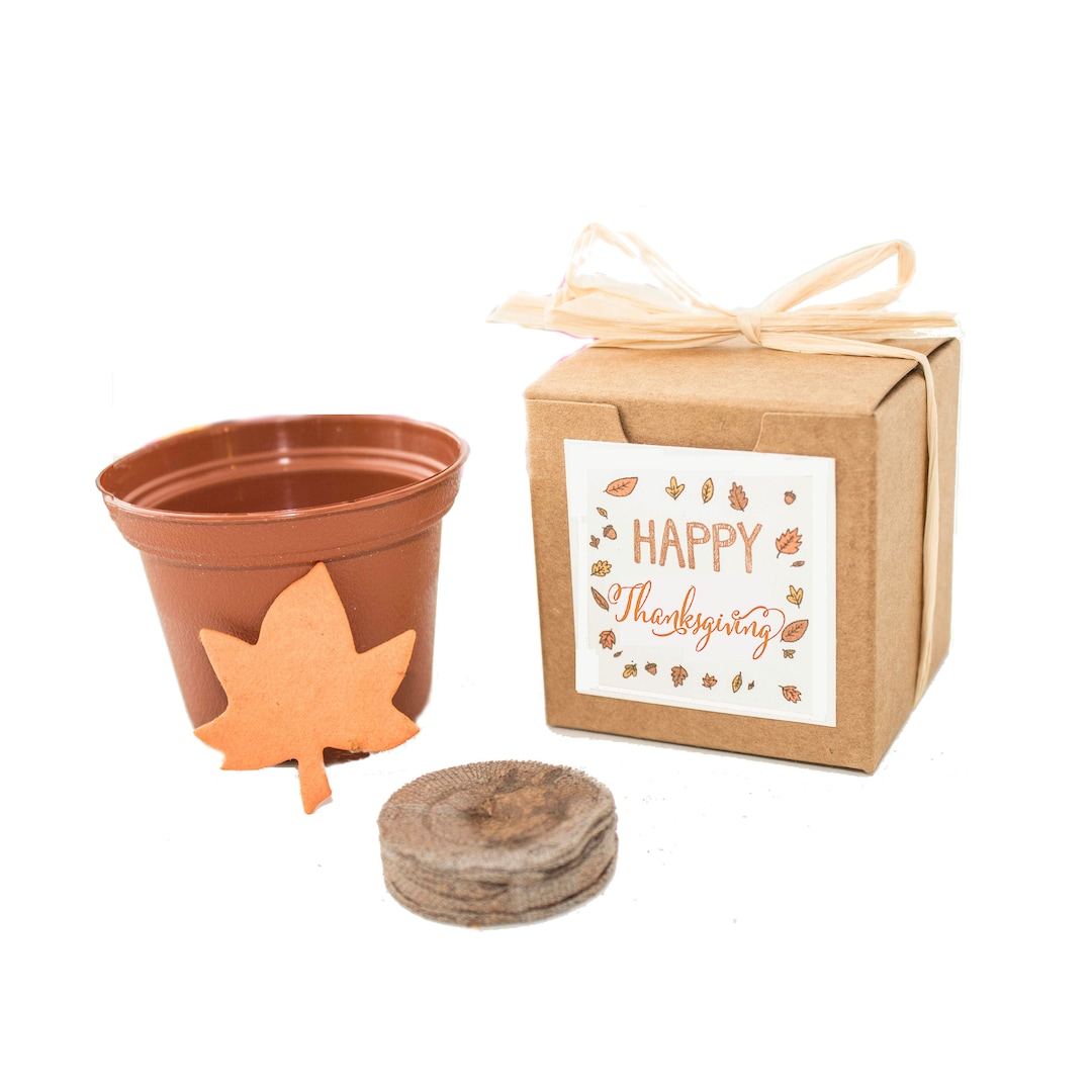 Thanksgiving Gift to Grow a Flower Garden, Little Sustainable Grow Kit ...
