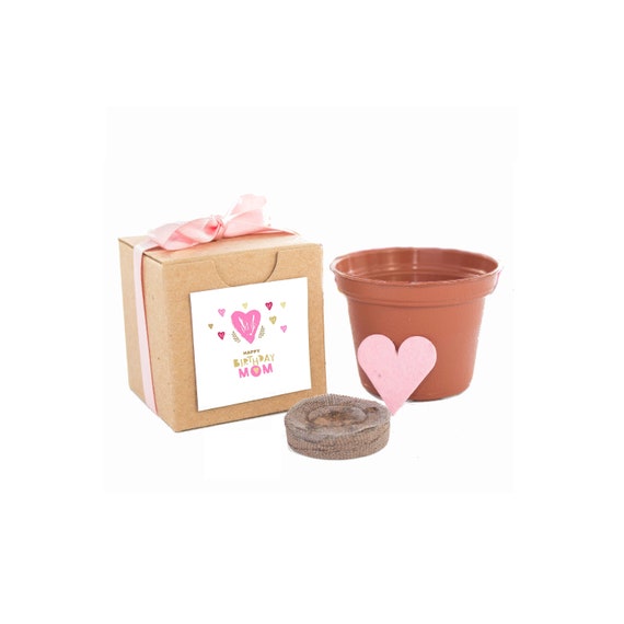 Happy Birthday Flower Garden Grow Kit for Mom's Birthday, Flower Seed ...