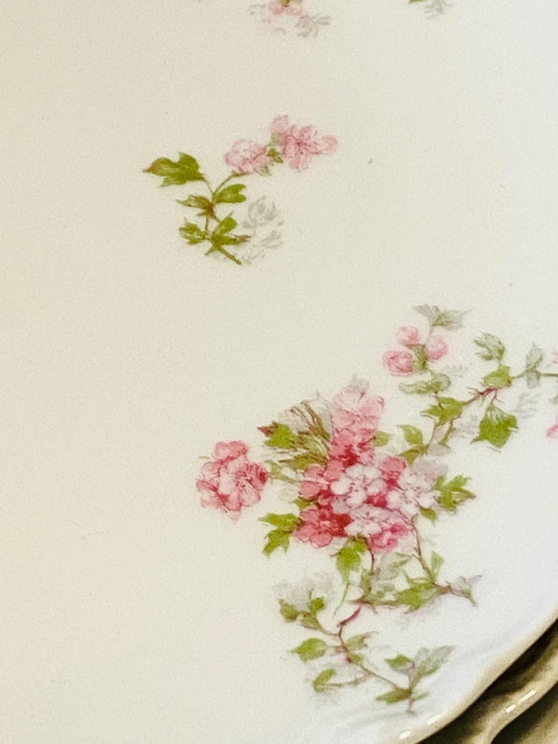 Set of 4 Antique Haviland Limoges Bread Plates – the Countess Pattern ...