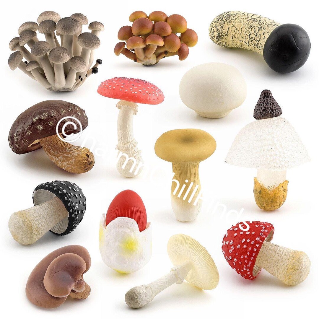 Realistic Mushroom Models for Home Decor and Craft Projects - Etsy