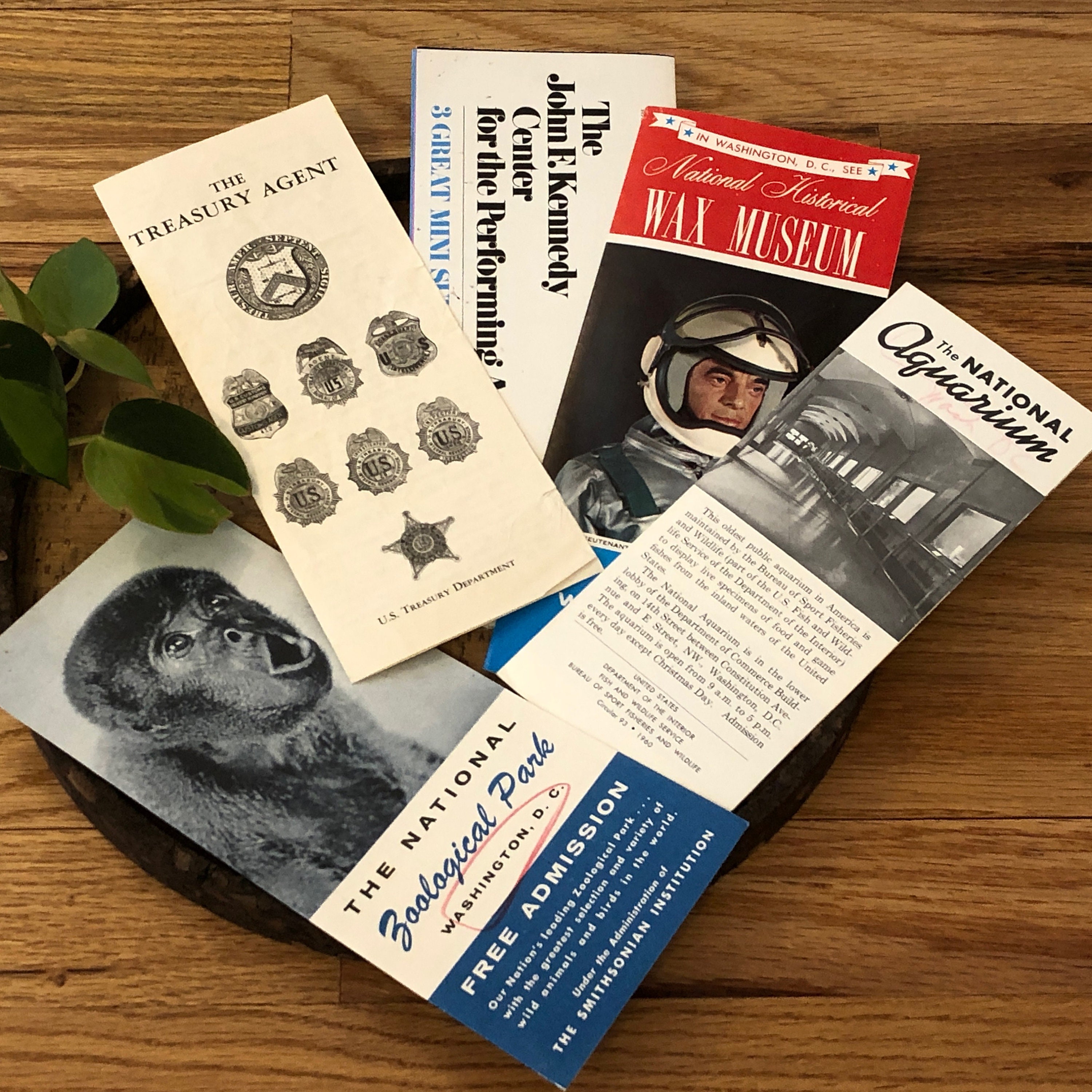 Washington Dc Visitors Brochure