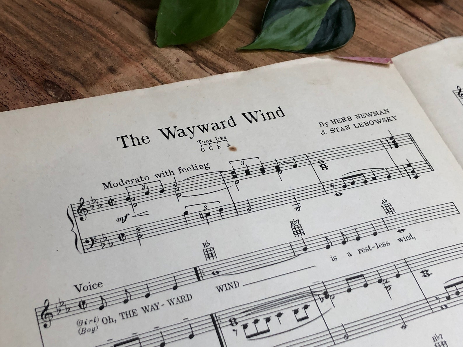 The Wayward Wind Song 1956 Gogi Grant Tex Ritter Warman Music - Etsy France