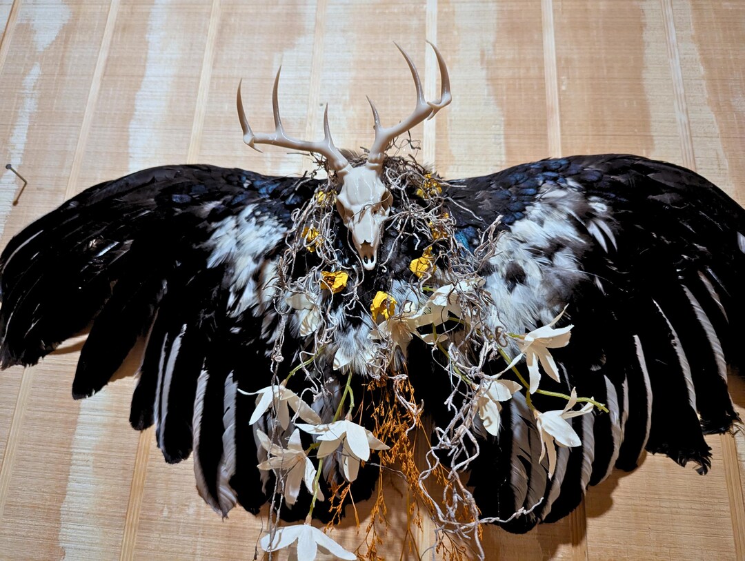 Bird Taxidermy Wing Art - Etsy