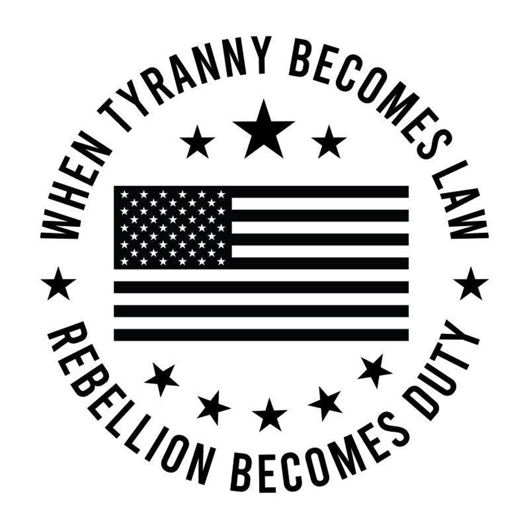 Rebellion Inspired 2nd Amendment Vinyl Decal for Car Truck Bumper ...