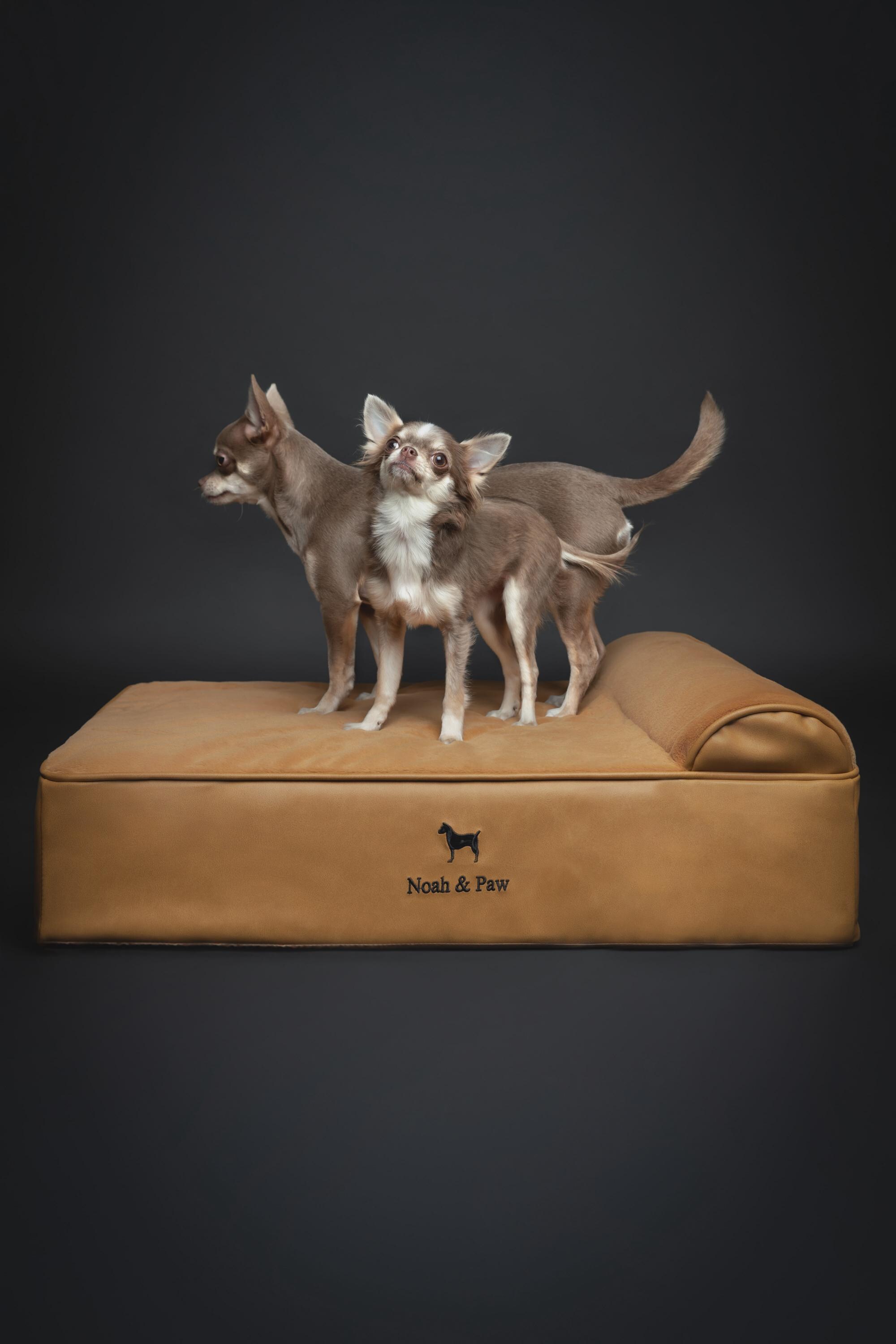 Luxury Dog Bed, Orthopedic Eggshell Memory Foam, Infused With Cooling ...