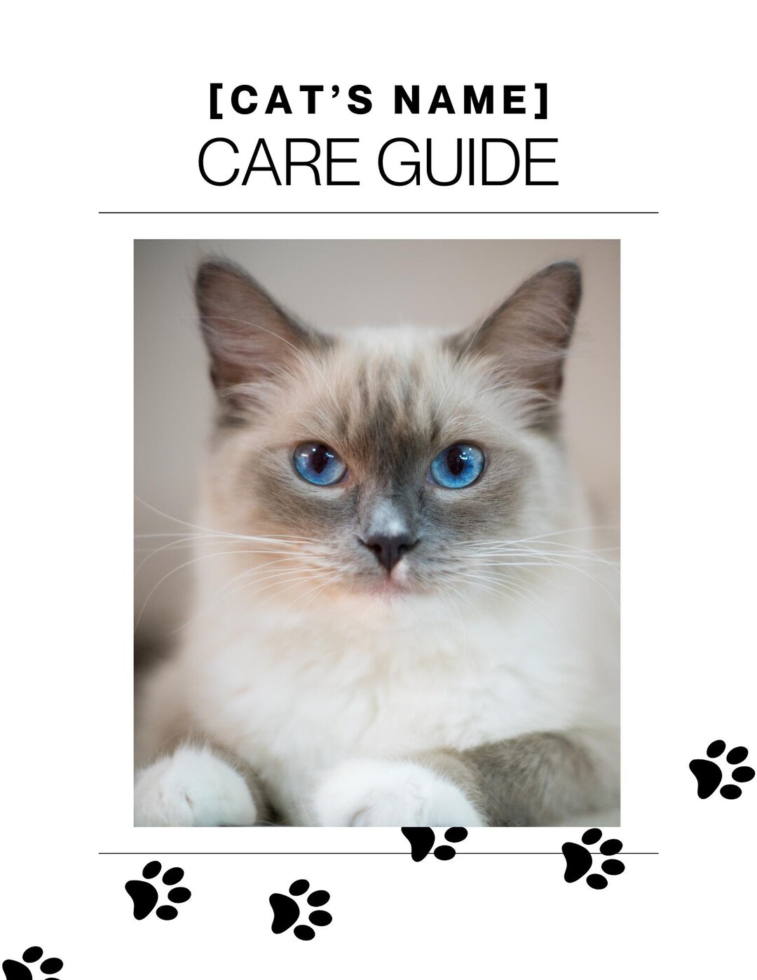Cat Care Guide Editable Text and Photos Canva Template for Cat Sitters ...