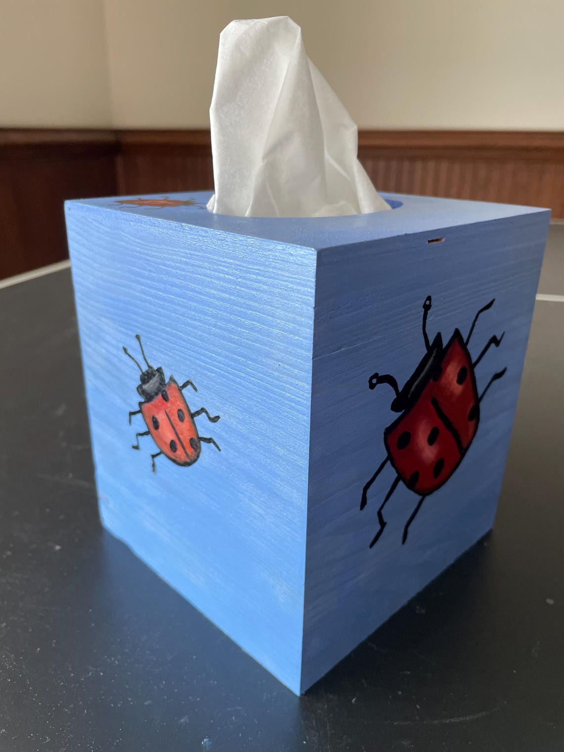 Hand Painted Tissue Box Cover Cute Lady Bugs - Etsy
