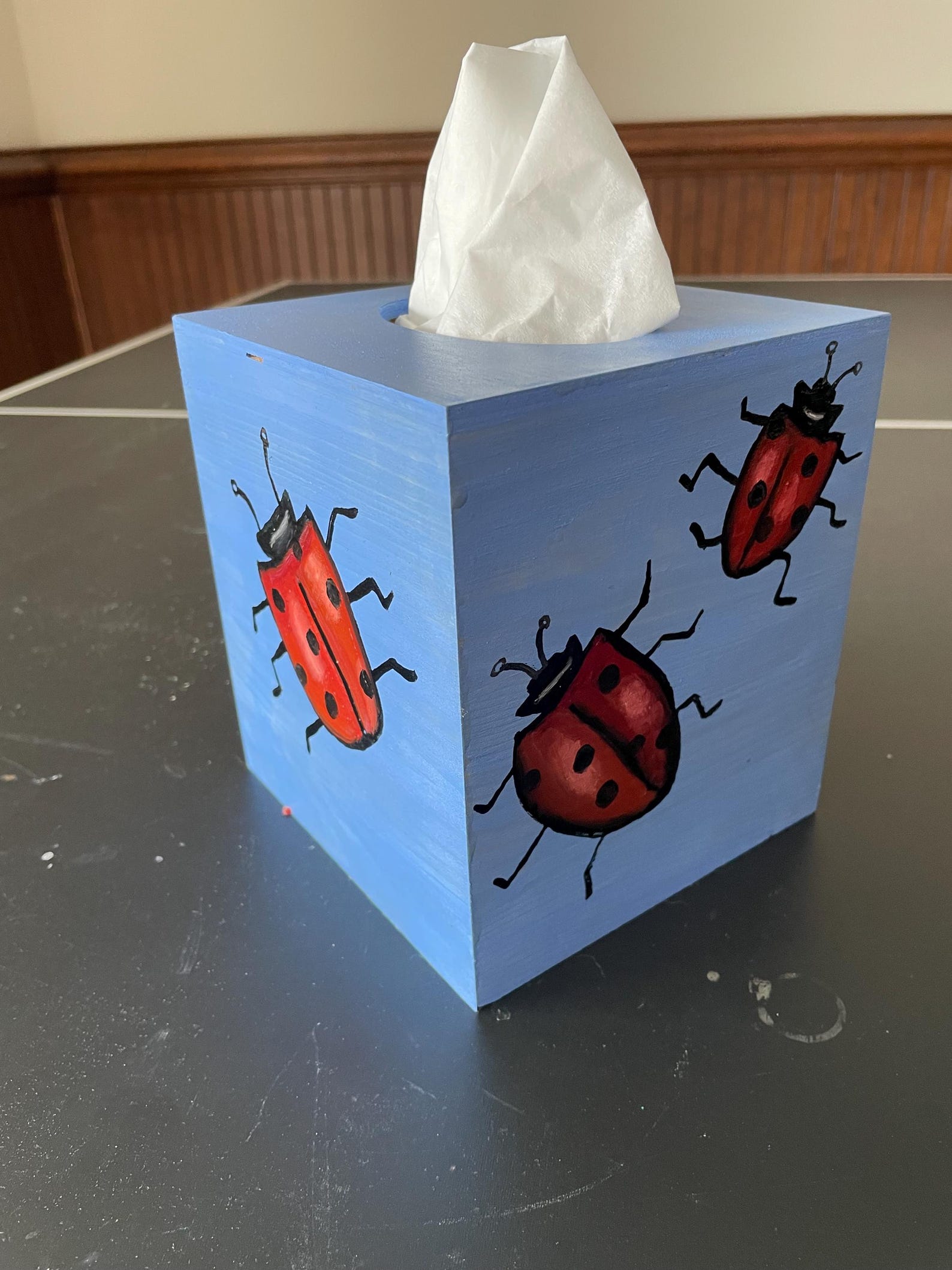 Hand Painted Tissue Box Cover Cute Lady Bugs - Etsy