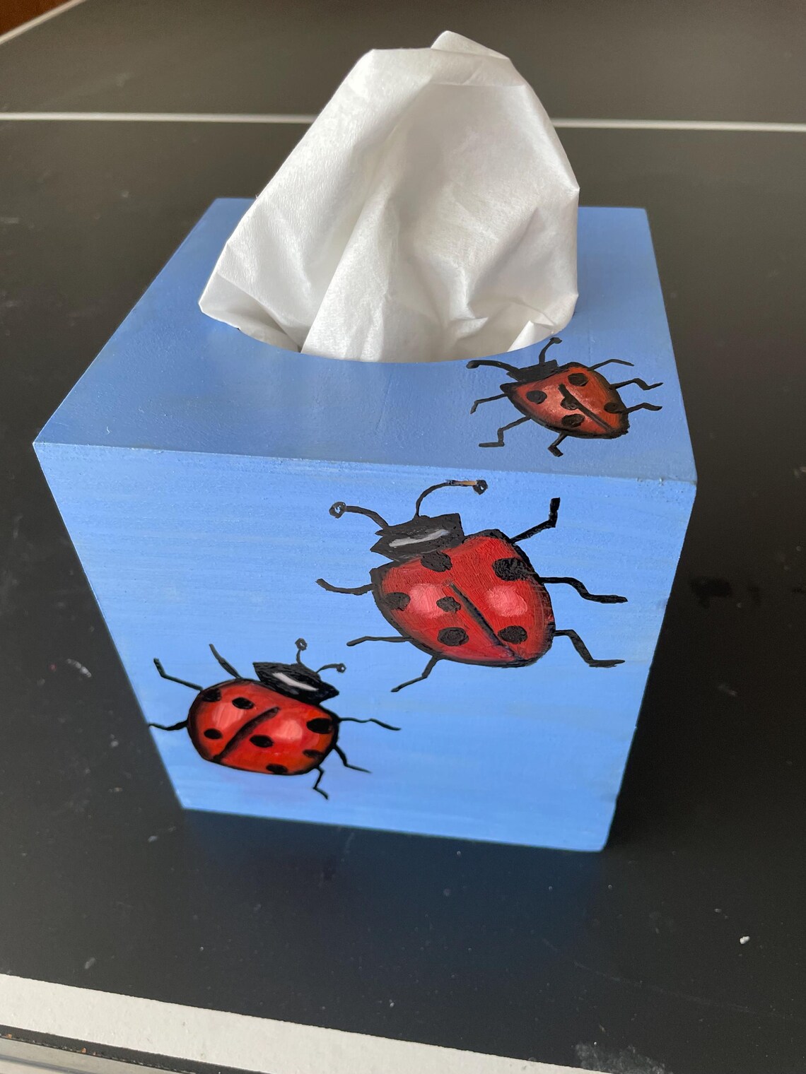 Hand Painted Tissue Box Cover Cute Lady Bugs - Etsy