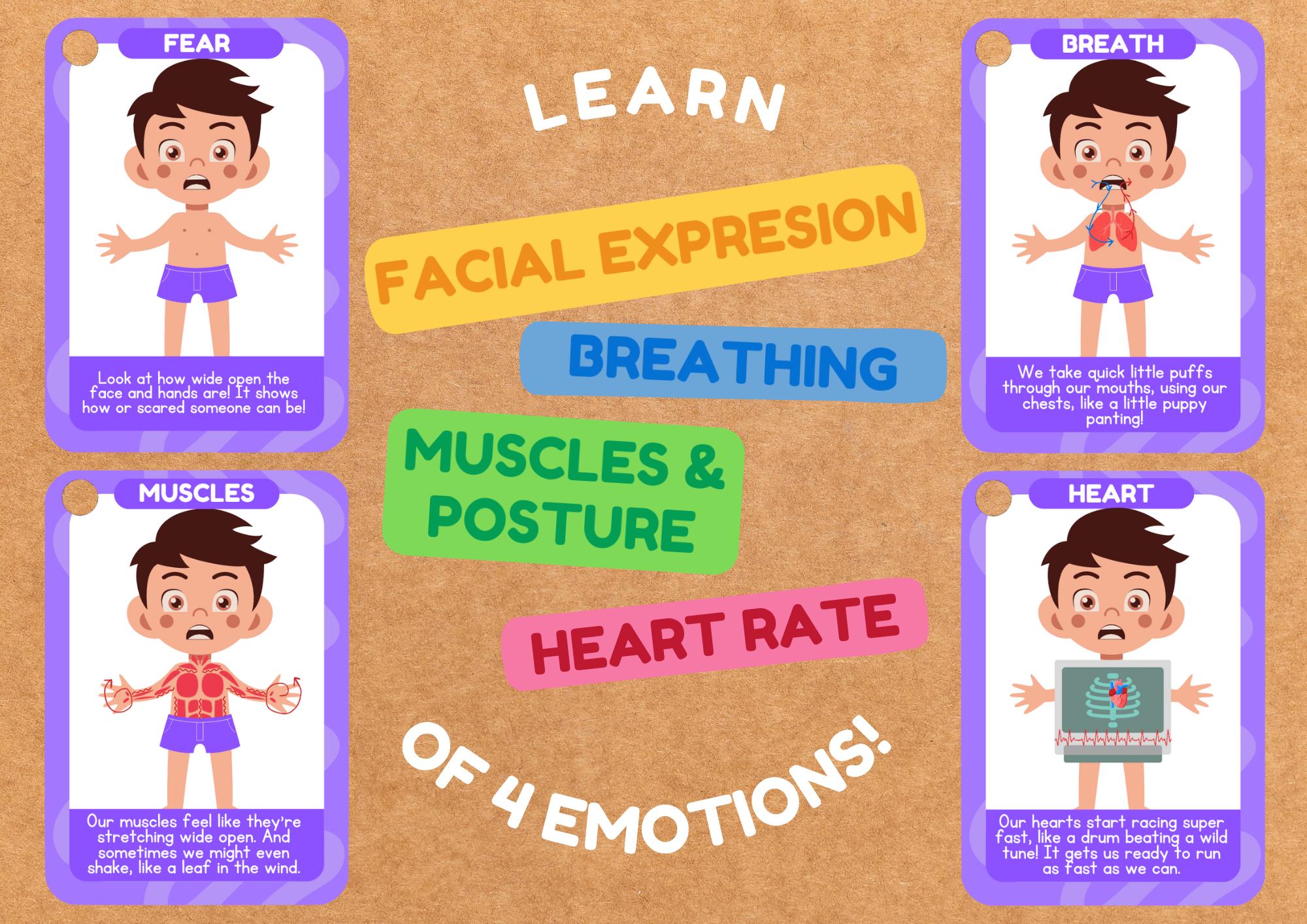 Anatomy of Emotions Flashcards, 16 Printable Feelings Flash Cards, Fear ...