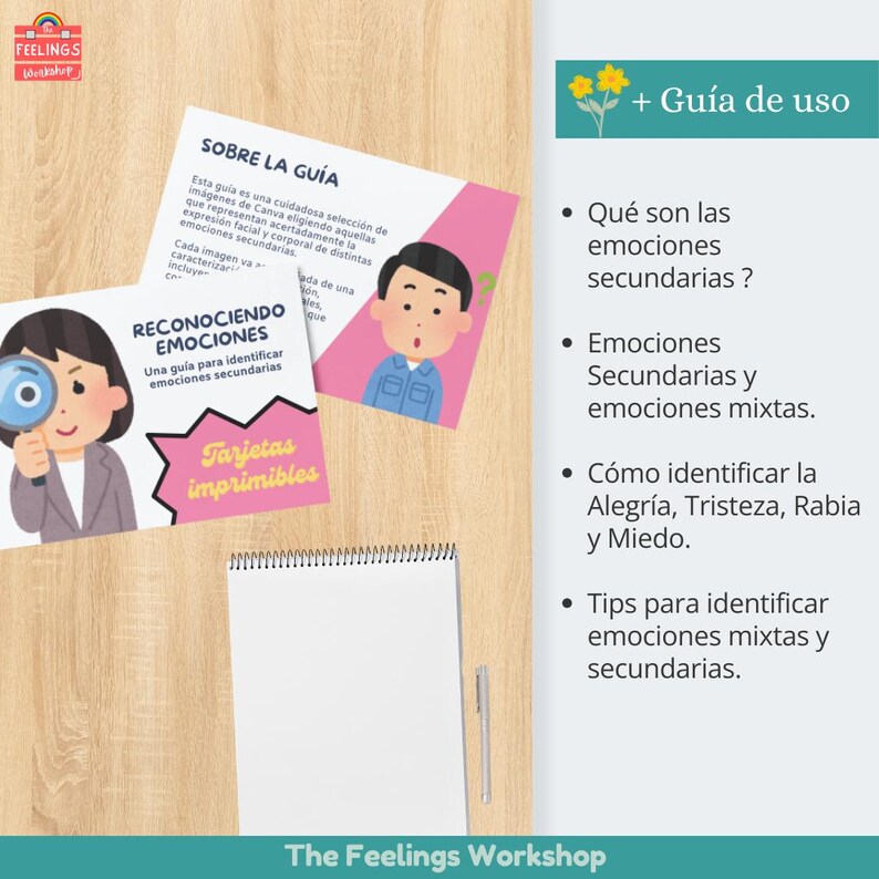 Emotions Flash Cards: Mixed Emotions, Feelings Identification (PDF) - Etsy