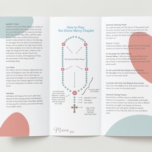 Printable Divine Mercy Chaplet Pamphlet- Digital - How to Pray Divine ...
