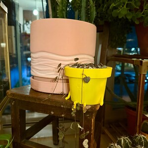 Charming Happy Face 3D Printed Flower Pot With Legs – Bright Colors ...