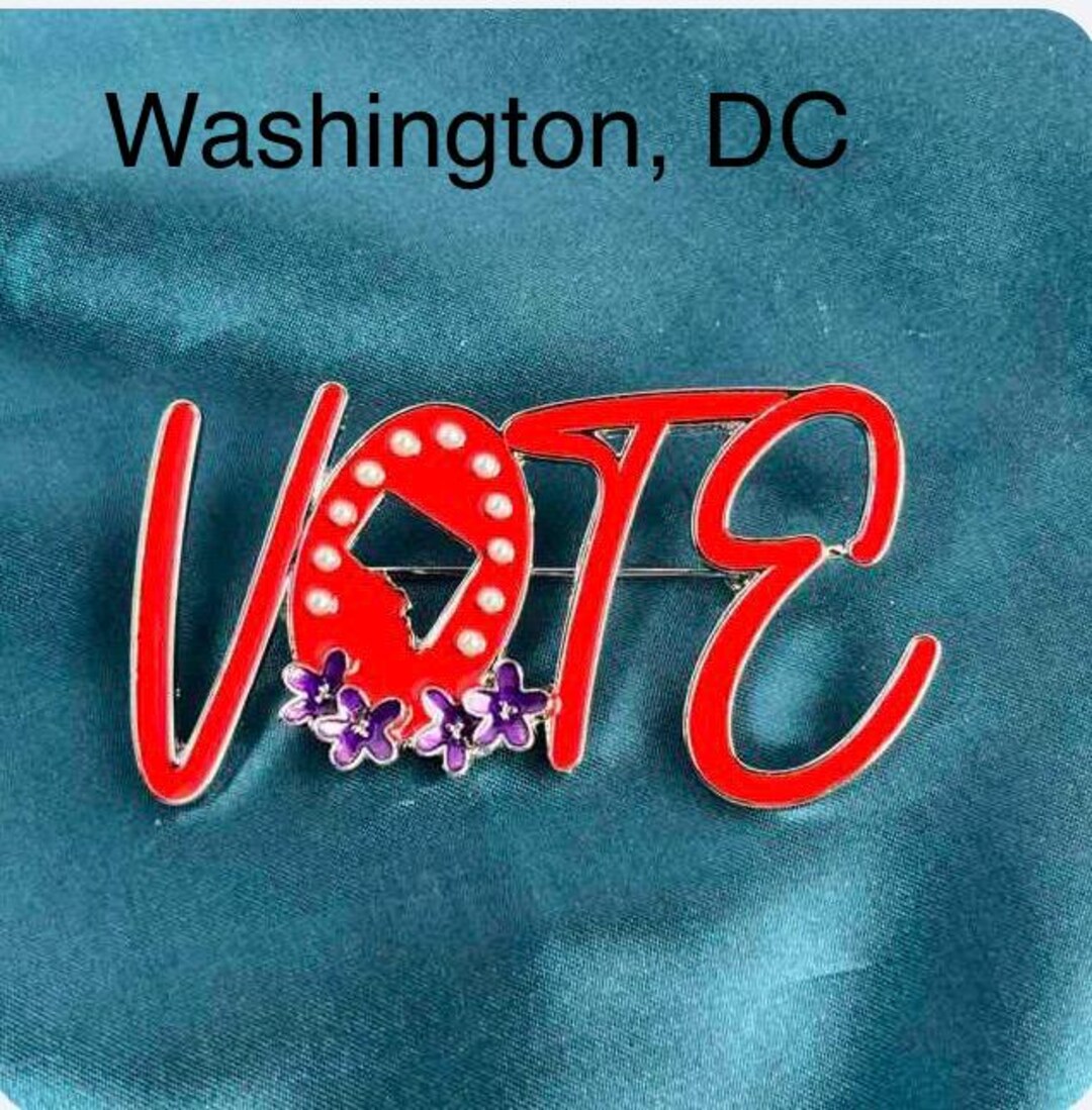 Delta Sigma Theta State VOTE Pins - Etsy