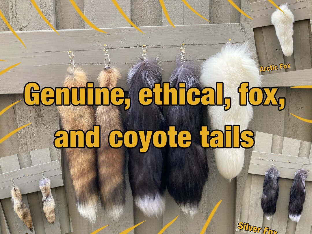 Genuine, Ethically Harvested Fox, and Coyote Tails - Etsy