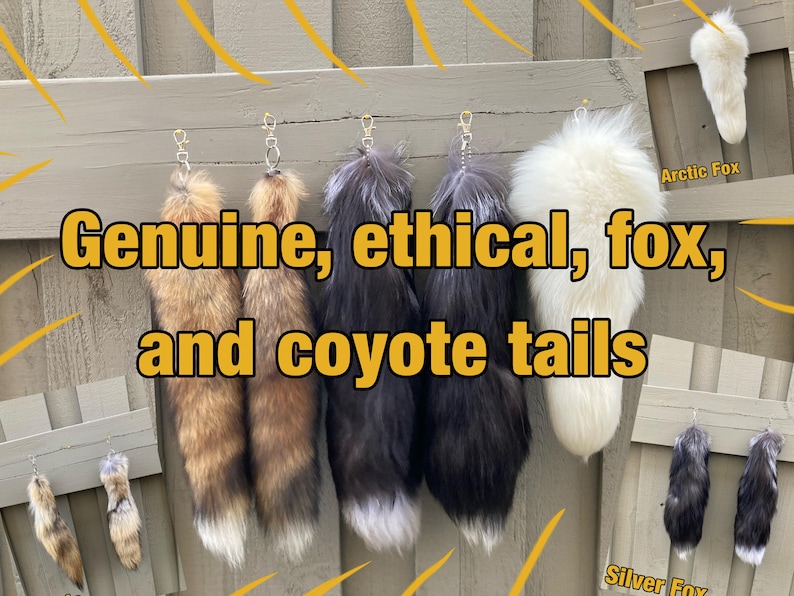 Genuine, Ethically Harvested Fox, and Coyote Tails - Etsy