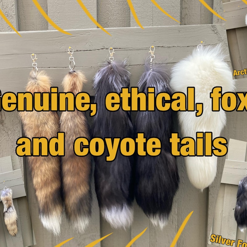 Real Fox Tails - Etsy