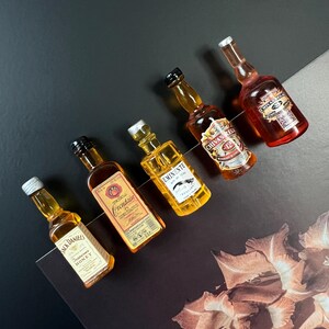 Miniature Liquor Bottle Magnets | Set of 2, 4, or 6 Fridge Magnets ...