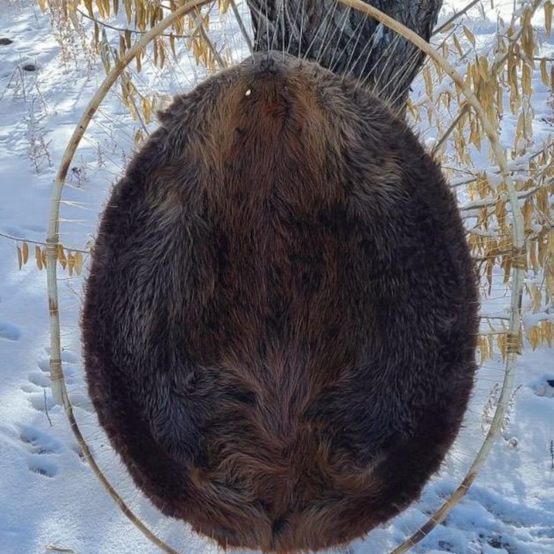 Beaver Pelt - Etsy