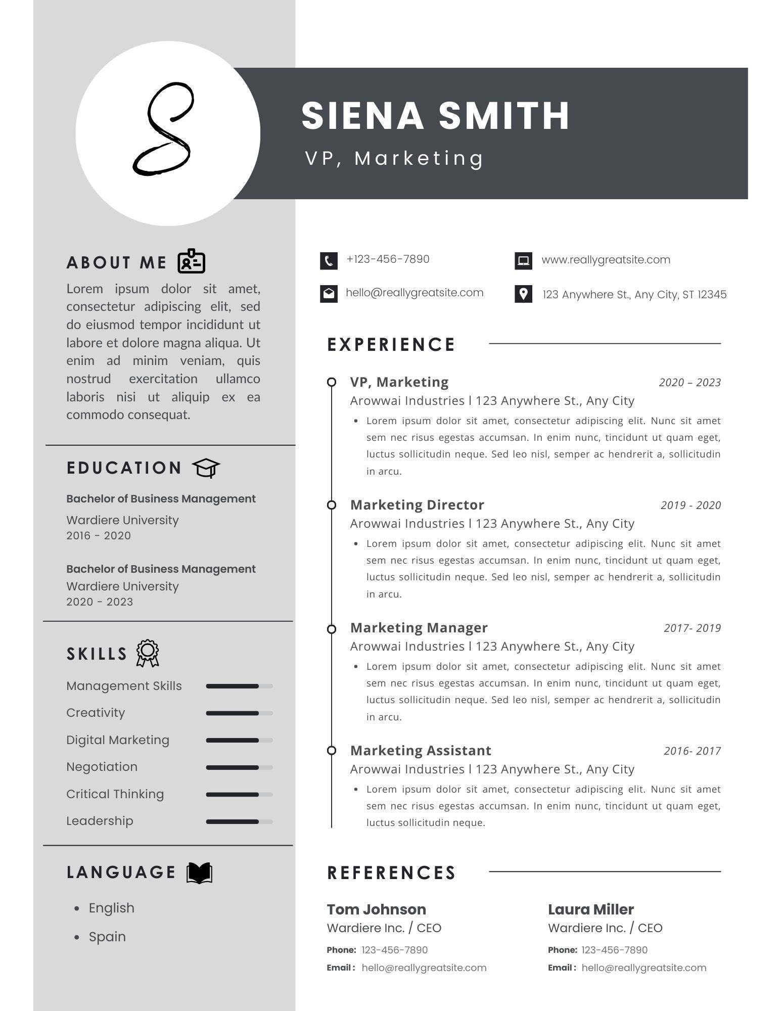 Editable Modern Resume Template: Career CV Design - Etsy