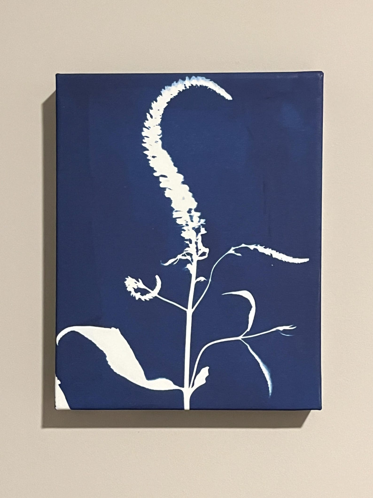 Queen Anne's Lace Floral Cyanotype Digital Print Art - Etsy