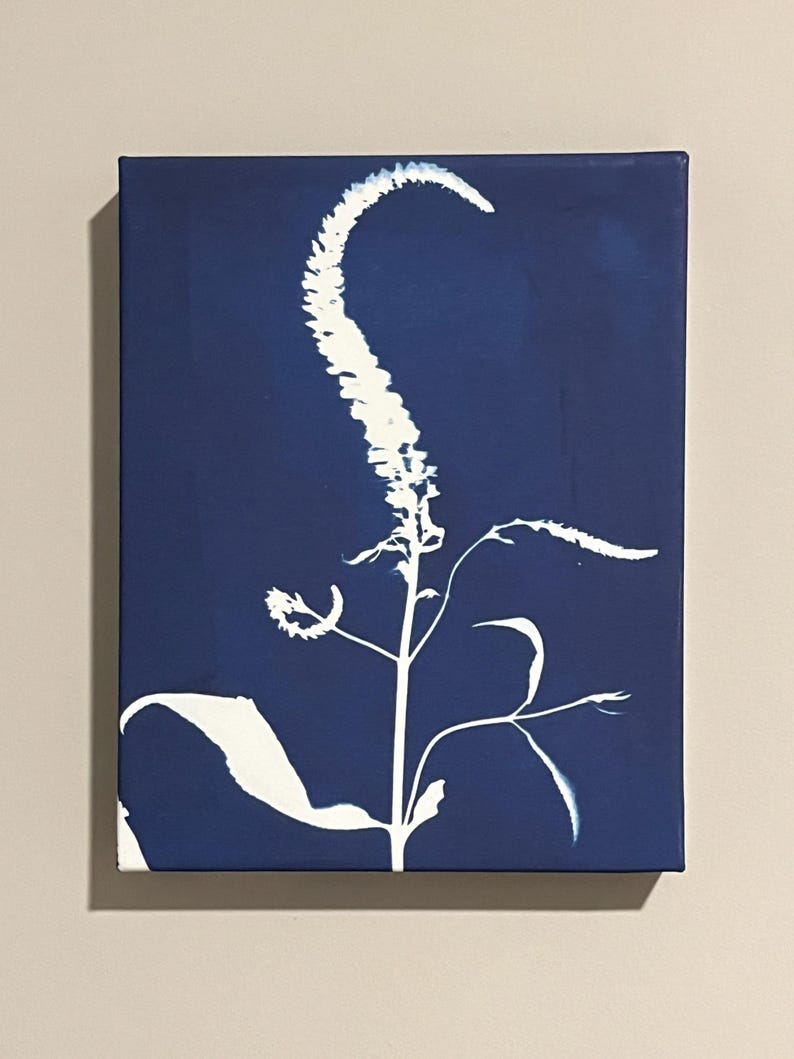 Giant Allium Cyanotype Digital Print - Etsy