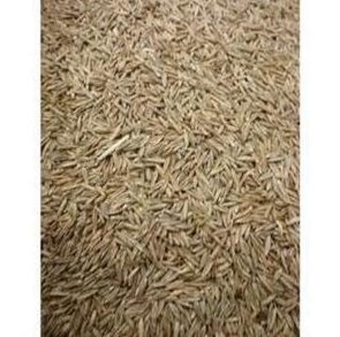 50 LB. Fawn Tall Fescue Seed - for Resilient and Lush Lawns - Etsy
