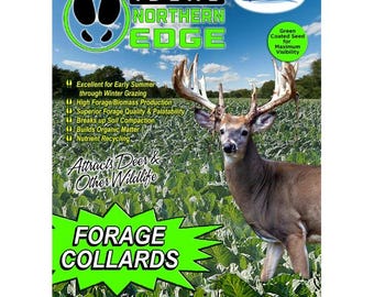 10 LB. IDEAL Northern Edge Fall Forage Food Plot Mix - Etsy