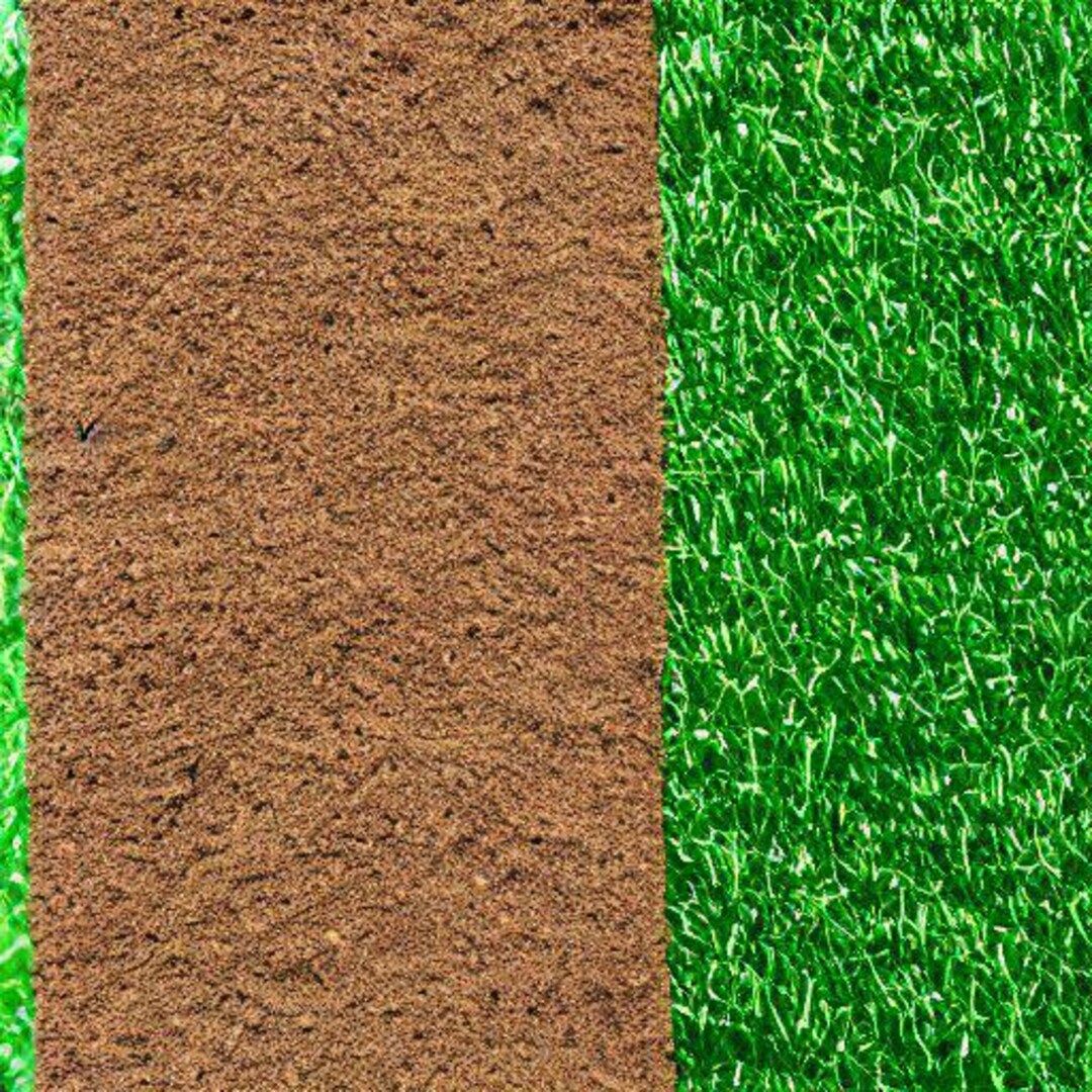 25 LB. Sports Turf Lawn Grass Seed Mix Kentucky Bluegrass - for Lawns ...
