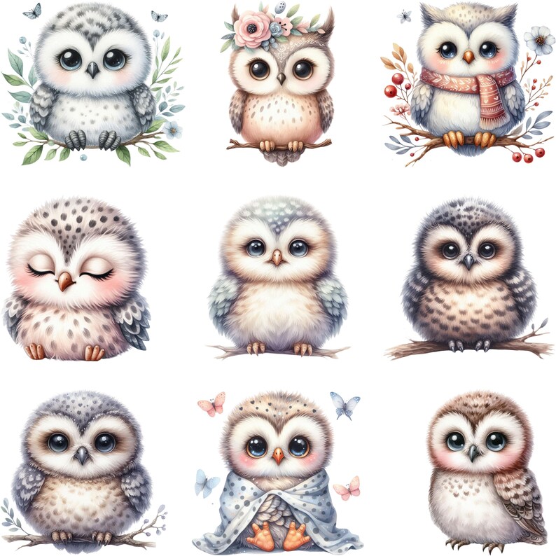 Baby Owls Clipart Bundle: Nursery Art PNG (commercial Use, Digital ...