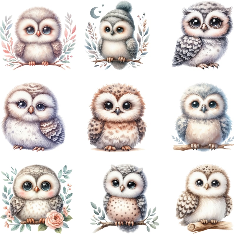 Baby Owls Clipart Bundle: Nursery Art PNG (commercial Use, Digital ...