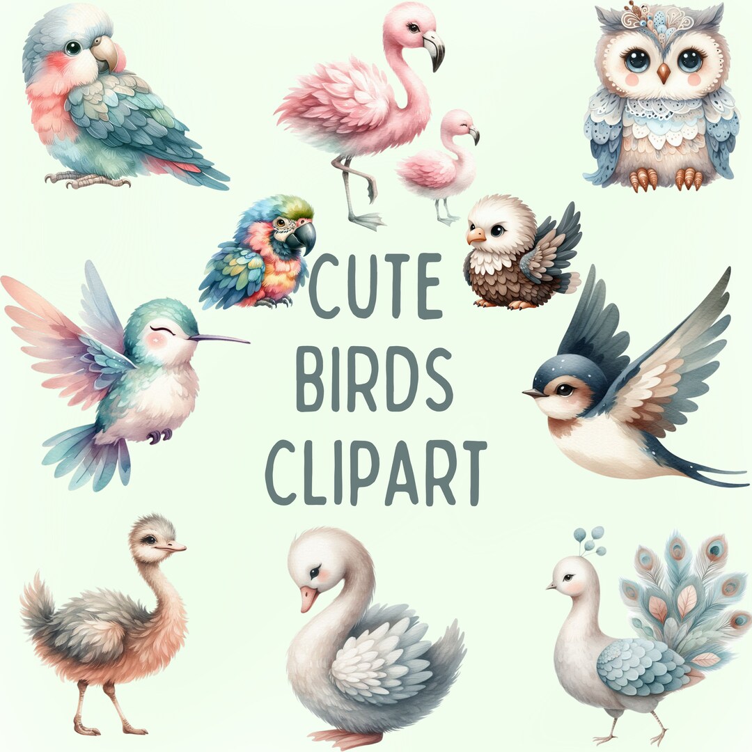 170 Cute Birds Clipart Bundle PNG & SVG Sublimation Download Nursery ...