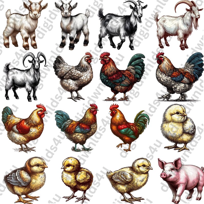 Farm Animals Clipart and Sublimation Bundle: Hand-drawn PNG Files ...