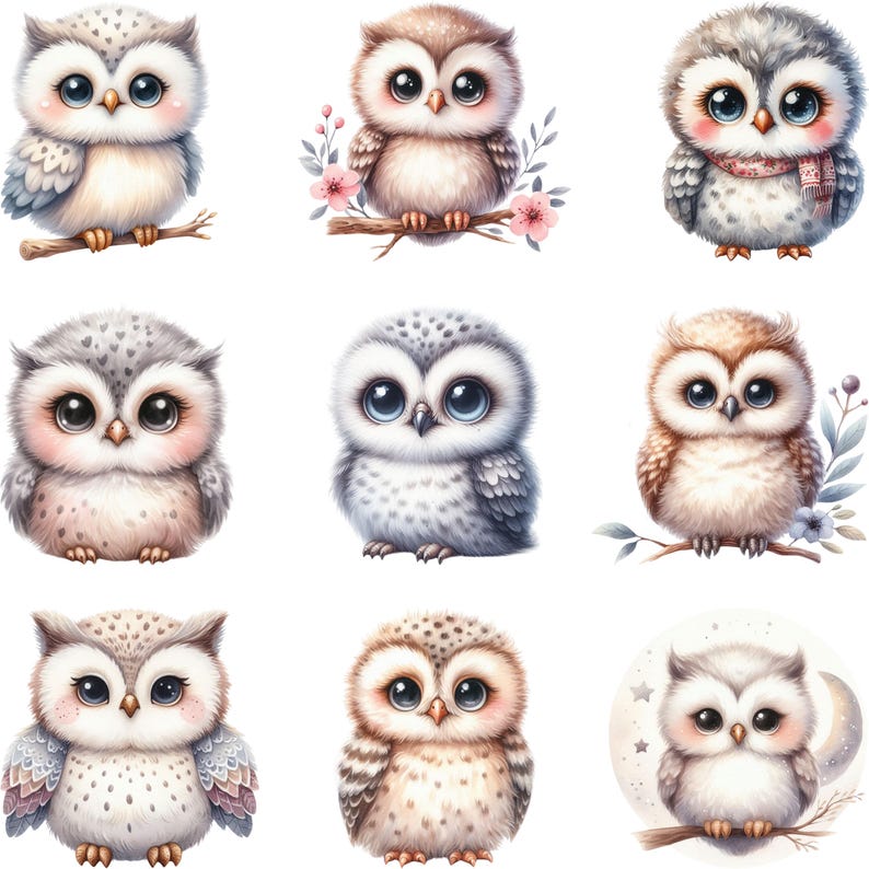 Baby Owls Clipart Bundle: Nursery Art PNG (commercial Use, Digital ...