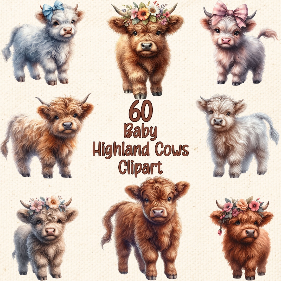 60 Watercolor Baby Highland Cow Clipart Bundle PNG Sublimation Download ...